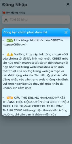 Check website, đánh giá trang web c8b.pro | SCAM.VN - Cảnh Báo Lừa Đảo